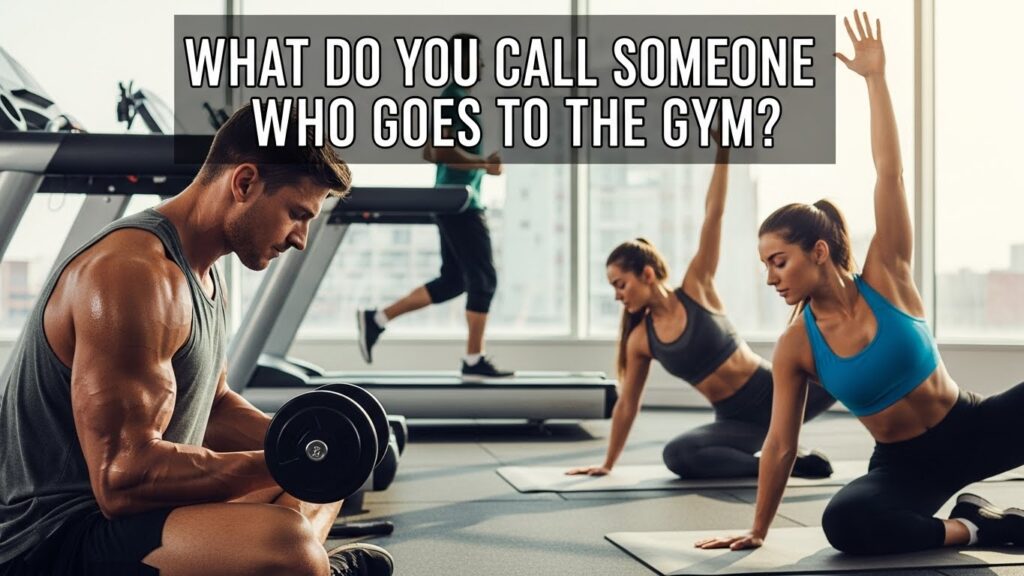 What to Call a Person Who Asks Many Questions
